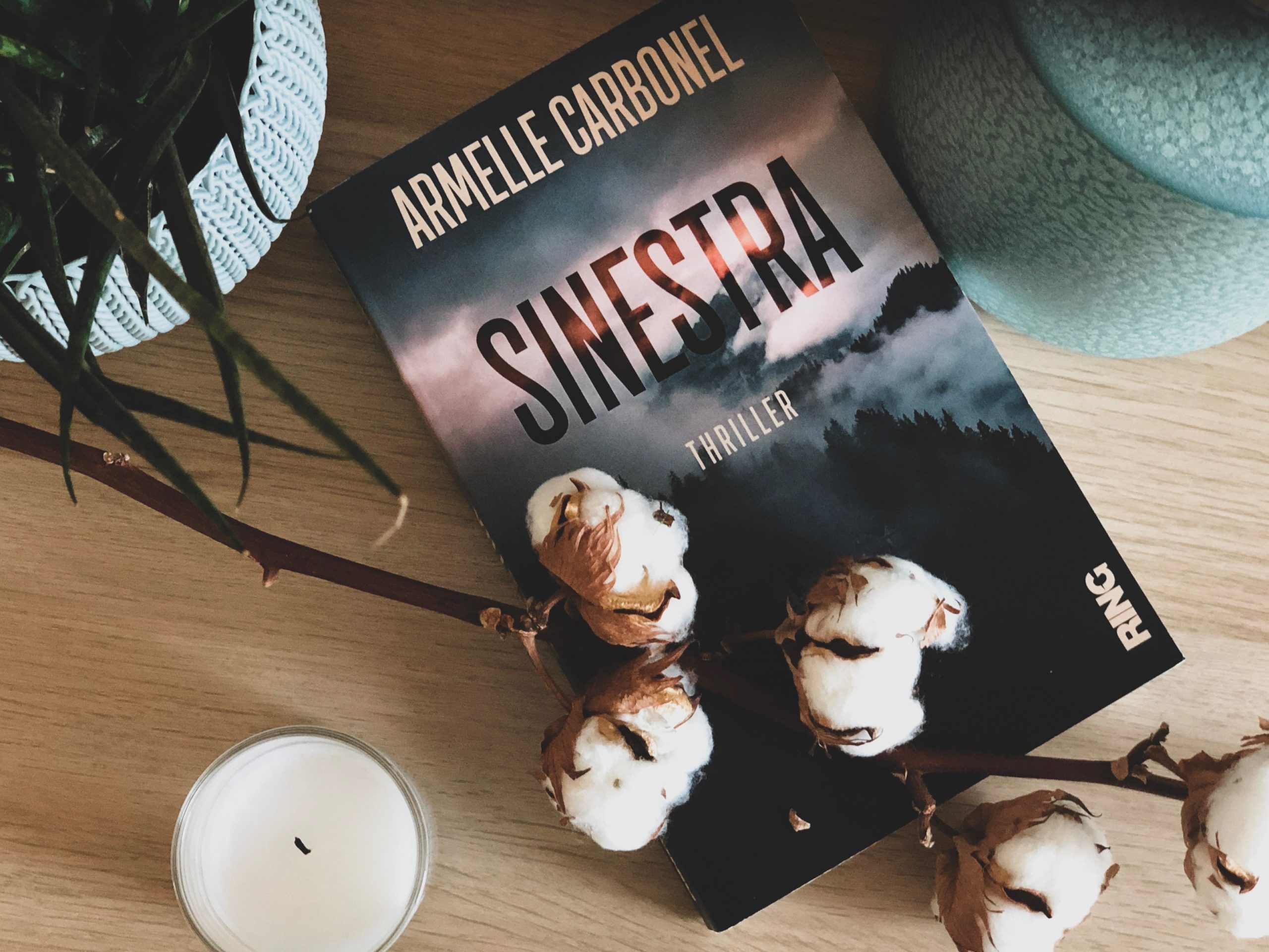 Sinestra d'Armelle Carbonel - La sagesse du haricot